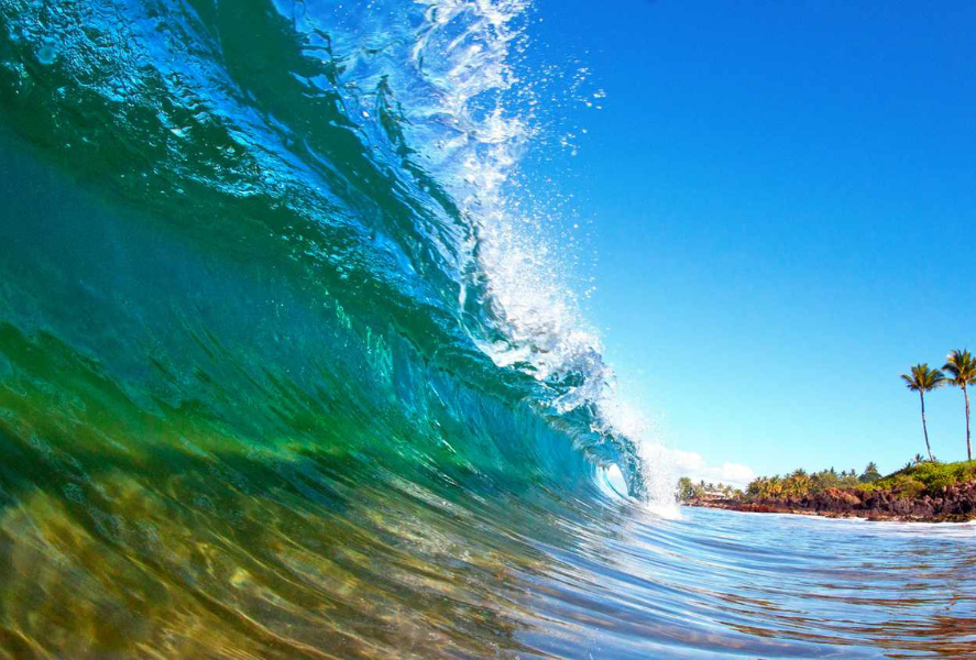 Raglan Surf Co’s Guide to Going Troppo – Raglan Surf Co.